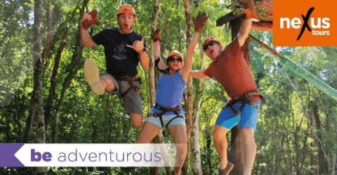 Happy Fun GIF - Find & Share on GIPHY