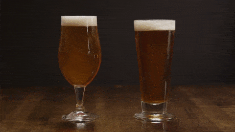 Beer GIF by BJ’s Restaurant & Brewhouse - Find & Share on GIPHY