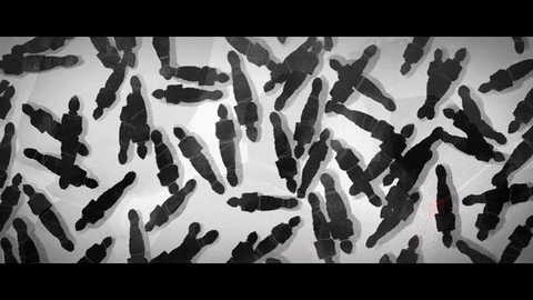 GIF by Stephanie Davidson - Find & Share on GIPHY