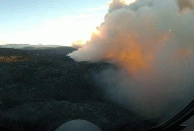 Wildfire GIF - Find & Share on GIPHY