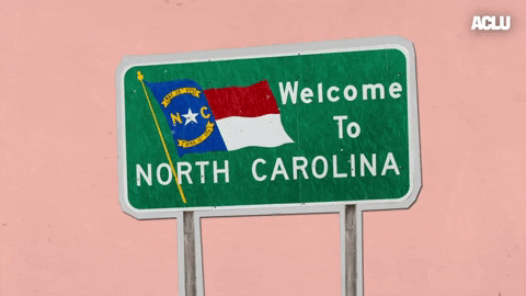 Voting North Carolina GIF by ACLU - Find & Share on GIPHY