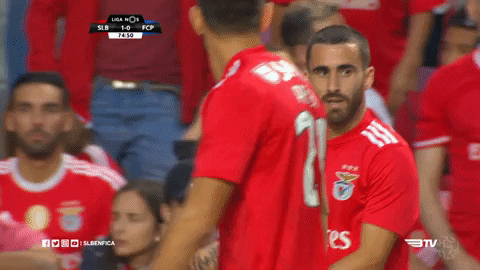 Sl Benfica Rafa GIF by Sport Lisboa e Benfica - Find & Share on GIPHY