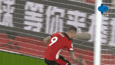 Southampton GIF by MolaTV - Find & Share on GIPHY