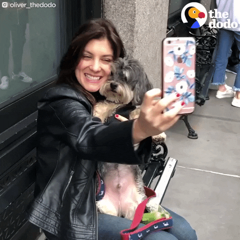 The Dodo GIF - Find & Share on GIPHY