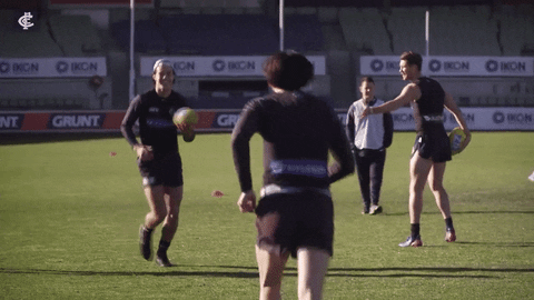 High Five GIF by Carlton Football Club - Find & Share on GIPHY
