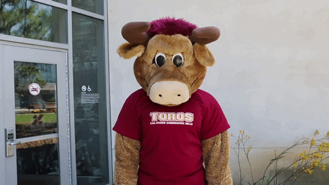 CSUDHTeddyToro GIF - Find & Share on GIPHY