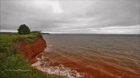 Between The Times And The Tide GIFs - Find & Share on GIPHY