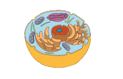 Biology Sticker for iOS & Android | GIPHY