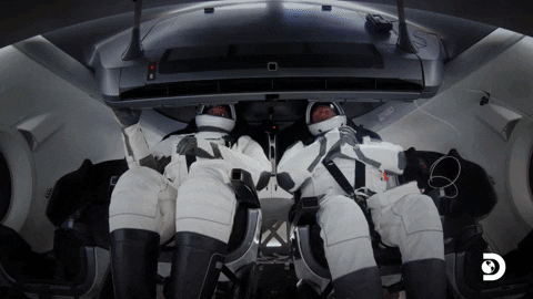 Discovery Channel Eating GIF by Discovery - Find & Share on GIPHY