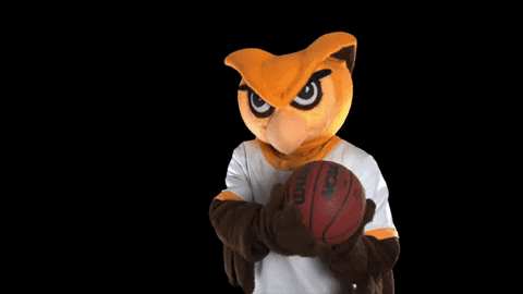 Ncaa Mascot GIF by Rowan University - Find & Share on GIPHY