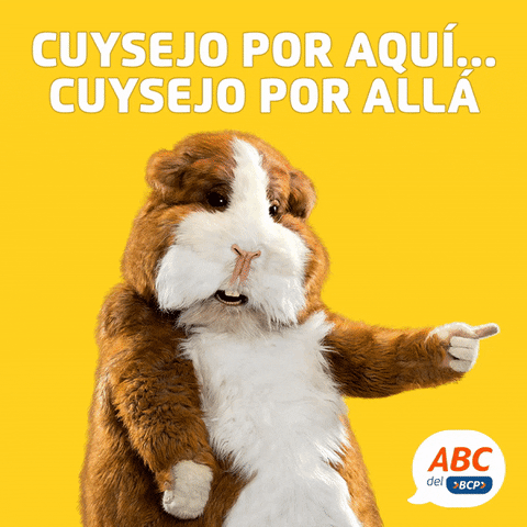 Cuysejo Abcdelbcp GIF by BCP - Find & Share on GIPHY