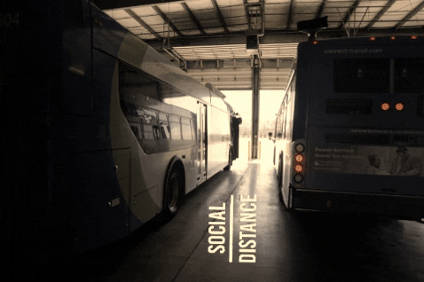 City Bus Buses GIF by Connect Transit - Find & Share on GIPHY