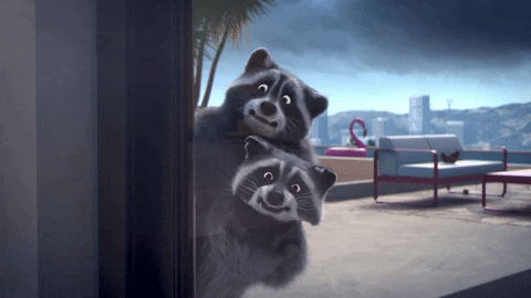 Freeze Raccoons GIF by MightyMike - Find & Share on GIPHY