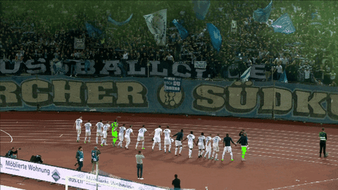 Zurich Celebrate GIF by FC Zürich - Find & Share on GIPHY