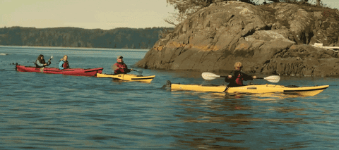Kayaking Canadian GIF by CanFilmDay - Find & Share on GIPHY