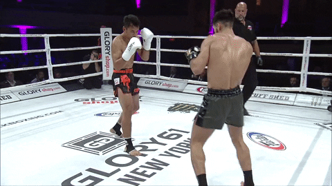 GLORY Kickboxing GIF - Find & Share on GIPHY