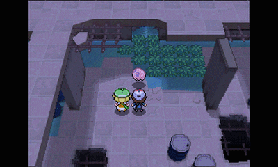 Pokemon Black And White GIF by Pokémon - Find & Share on GIPHY