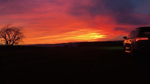 Audi RS3 enjoying beautiful sunset : pics