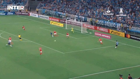 Libertadores Da America Colorado GIF by Sport Club Internacional - Find ...