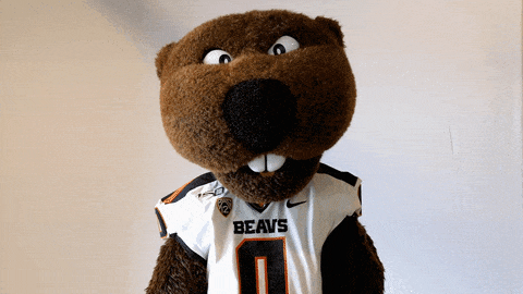 Oregon State Dance GIF by Oregon State University - Find & Share on GIPHY