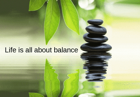 Balance GIF - Find & Share on GIPHY