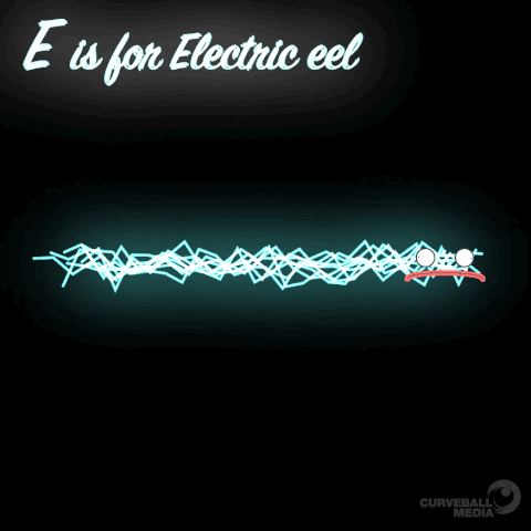Electric GIFs - Find & Share on GIPHY