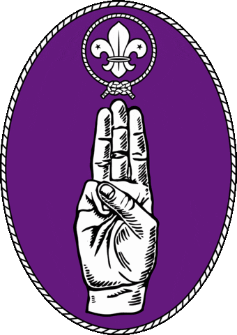 Salute Scouts Sticker by Malou Paul for iOS & Android | GIPHY