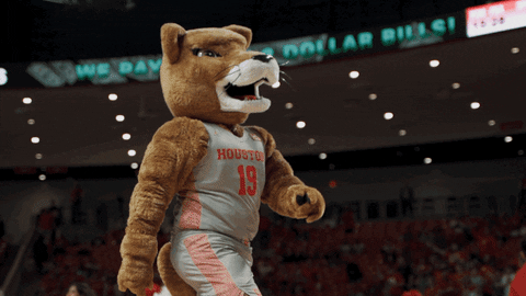 Sasha Go Coogs GIF by University of Houston - Find & Share on GIPHY