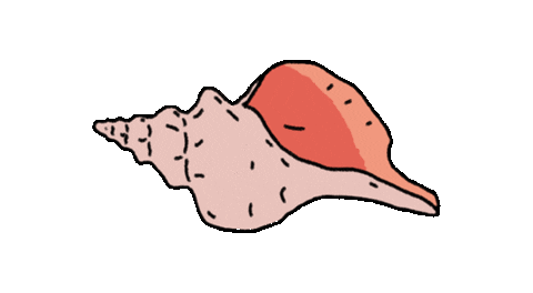 Shell Sticker by Bits Bodywear for iOS & Android | GIPHY