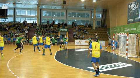 Goal Handball GIF by HCB Karviná - Find & Share on GIPHY