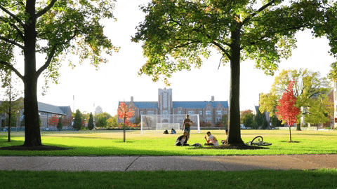 College Life GIF by Washington University in St. Louis - Find & Share ...