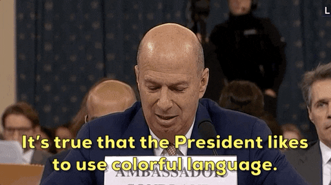 Impeachment Hearings GIF - Find & Share on GIPHY