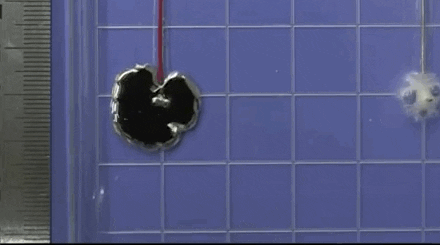 Metal GIF - Find & Share on GIPHY