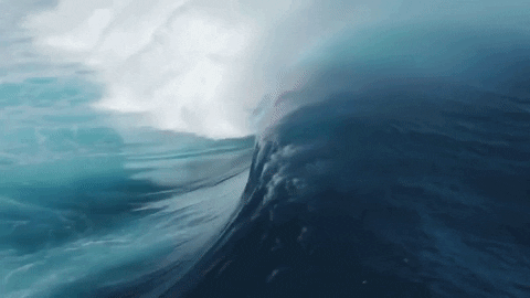 Water Sports Sport GIF by World Surf League - Find & Share on GIPHY