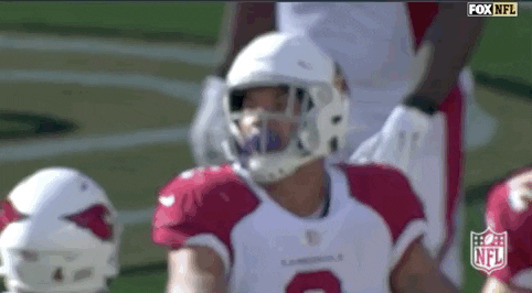 Arizona Cardinals Football GIF by NFL - Find & Share on GIPHY
