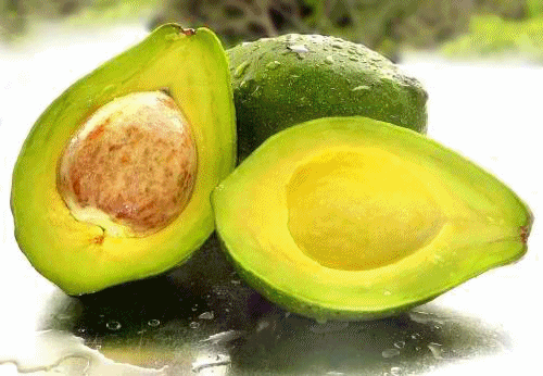 Avocado Find And Share On Giphy