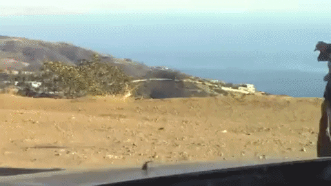 Elevate GIF by 347aidan - Find & Share on GIPHY