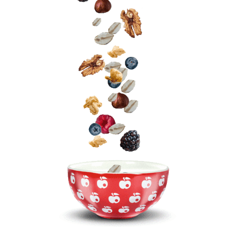 Cereals Muesli Sticker by biofamilia for iOS & Android | GIPHY