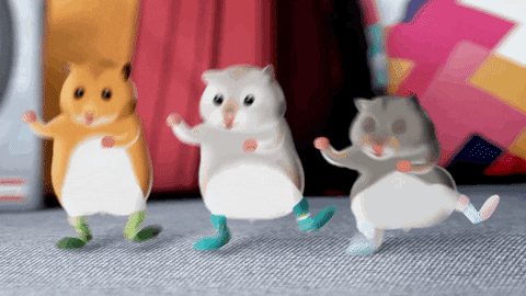 Dance Hamster GIF by Dedoles - Find & Share on GIPHY