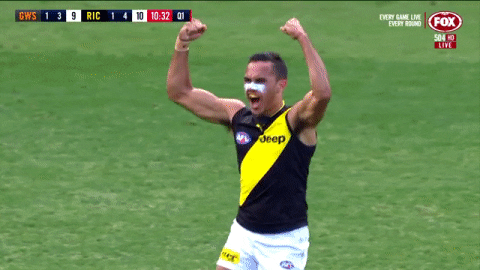 AFL GIF - Find & Share on GIPHY