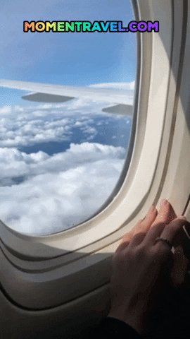 Fly Viajar GIF by Momentravel - Find & Share on GIPHY