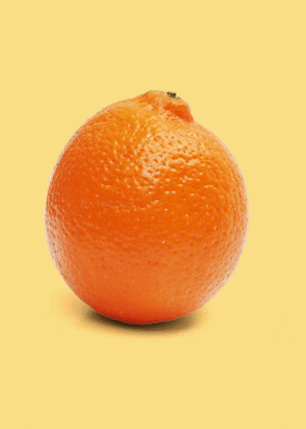 GIF by Twin River Berries - Find & Share on GIPHY