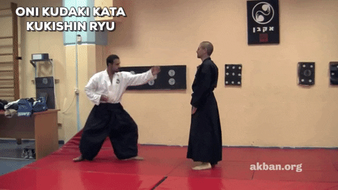 Ninjutsu Kata GIF by AKBAN Academy - Find & Share on GIPHY