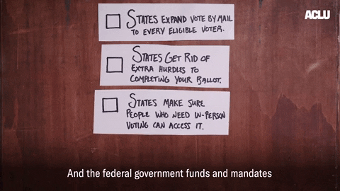 Voting Federal Government GIF by ACLU - Find & Share on GIPHY
