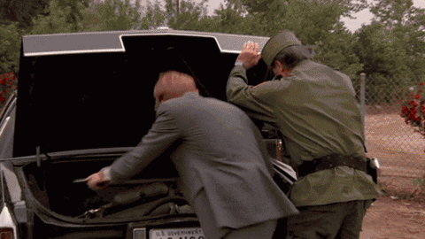 Trunk GIF - Find & Share on GIPHY