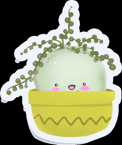 Happy Plant GIF - Find & Share on GIPHY