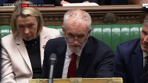 GIPHY News GIF - Find & Share on GIPHY