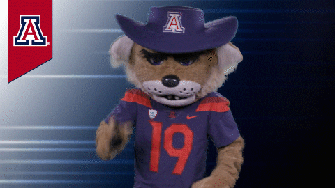 University Of Arizona GIF by College Colors Day - Find & Share on GIPHY