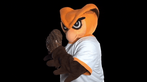 Ncaa Mascot GIF by Rowan University - Find & Share on GIPHY