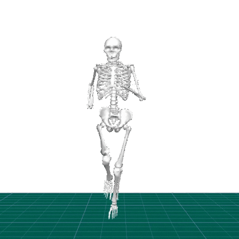Skeleton Running Sticker by Salming Czech for iOS & Android | GIPHY